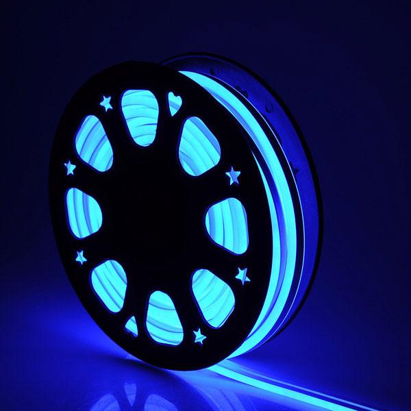 100FT Blue D-Shape LED Neon Light IP65 (15x14mm) — LED Rope Lights Canada