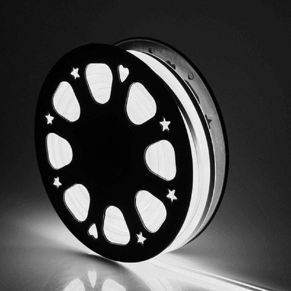 100FT Cool White D-Shape LED Neon Light IP65 (15x14mm) — LED Rope ...